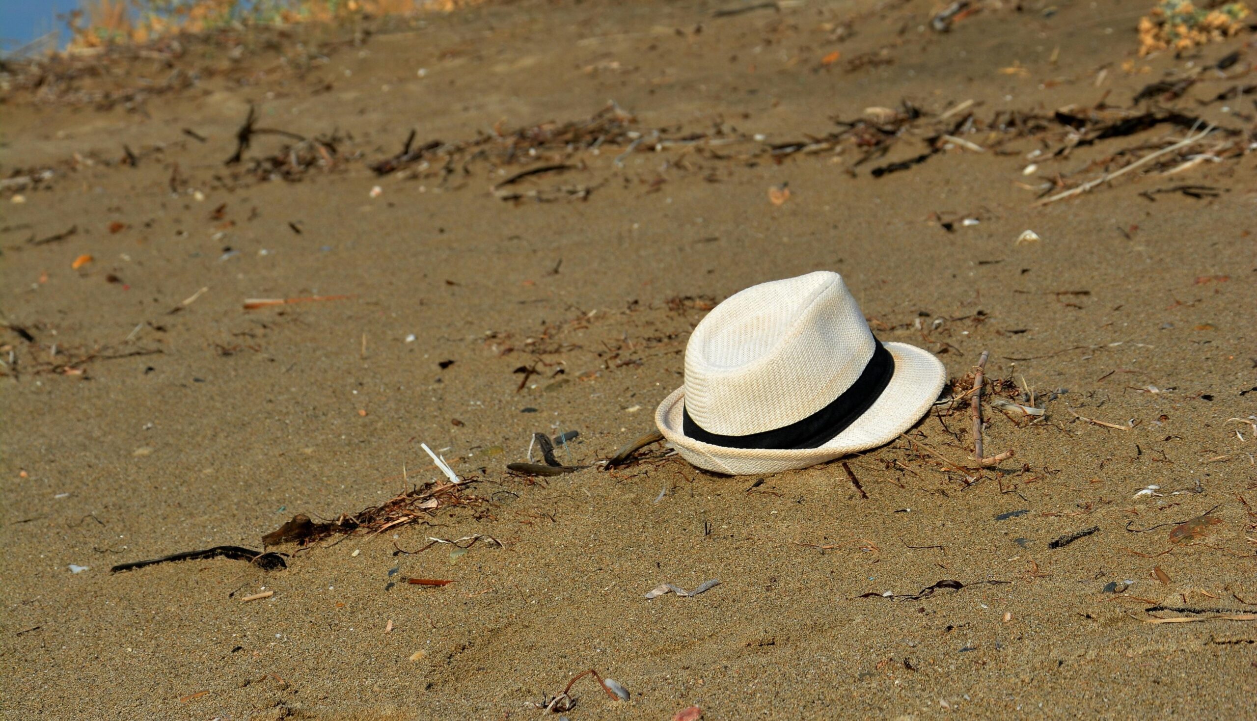 Az ecuadori Panama-kalap - Pacha Travels