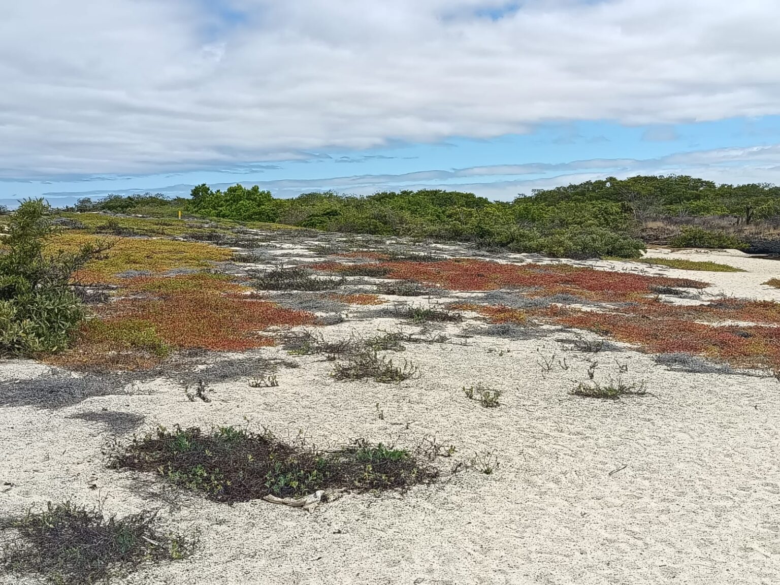 Képes beszámoló Ecuador: Galapagos-szigetek, Amazónia és Andok ...