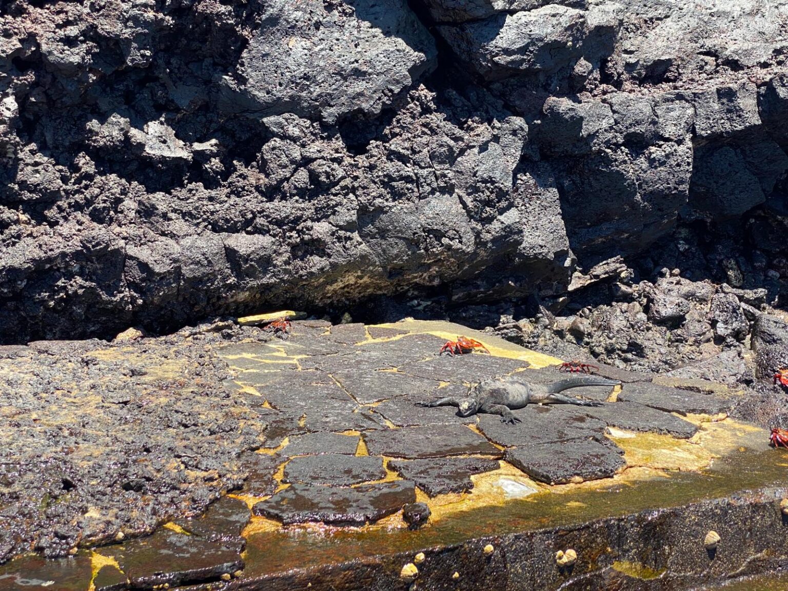 Képes beszámoló Ecuador: Galapagos-szigetek, Amazónia és Andok ...
